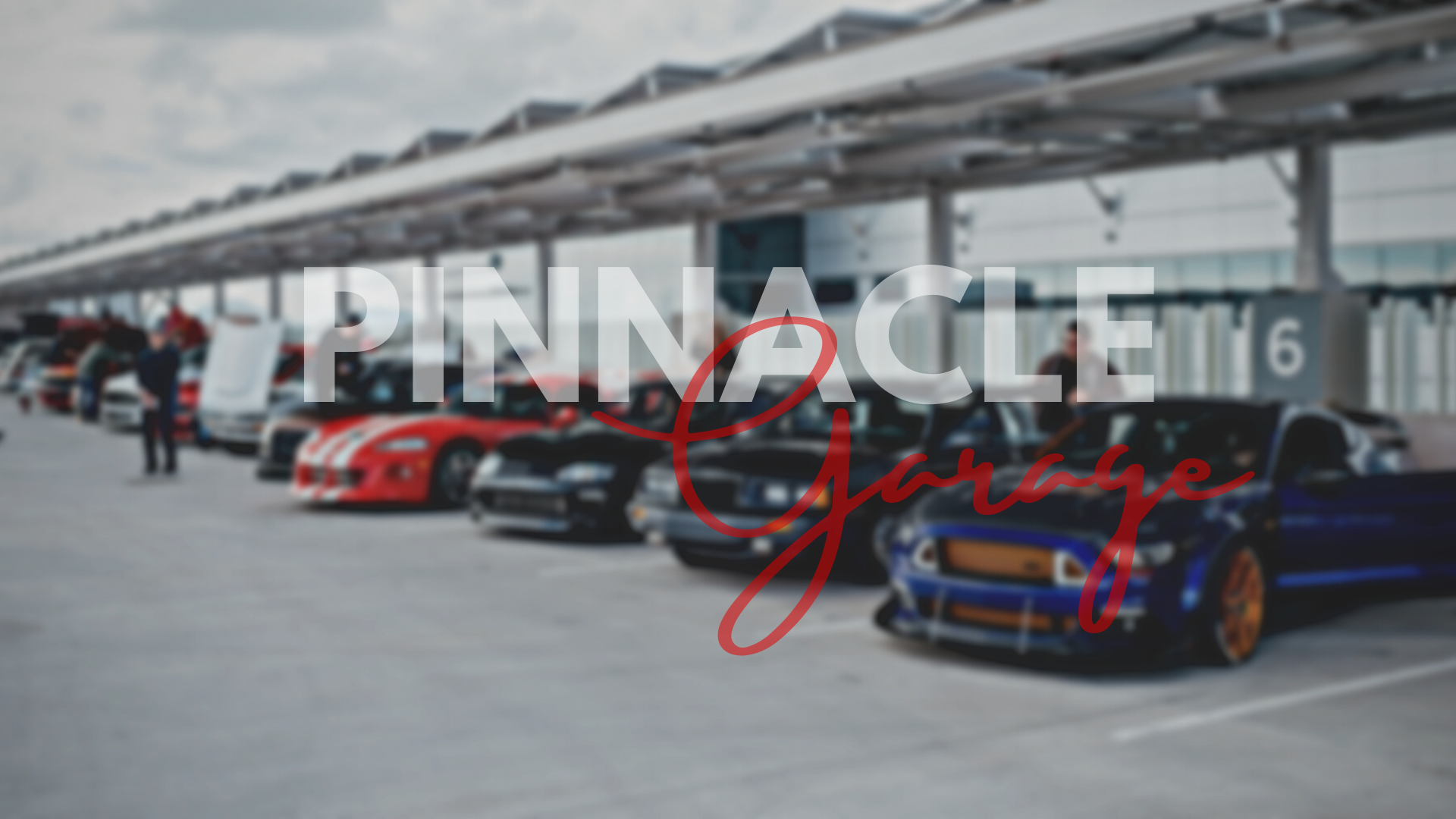 PINNACLE GARAGE USA
